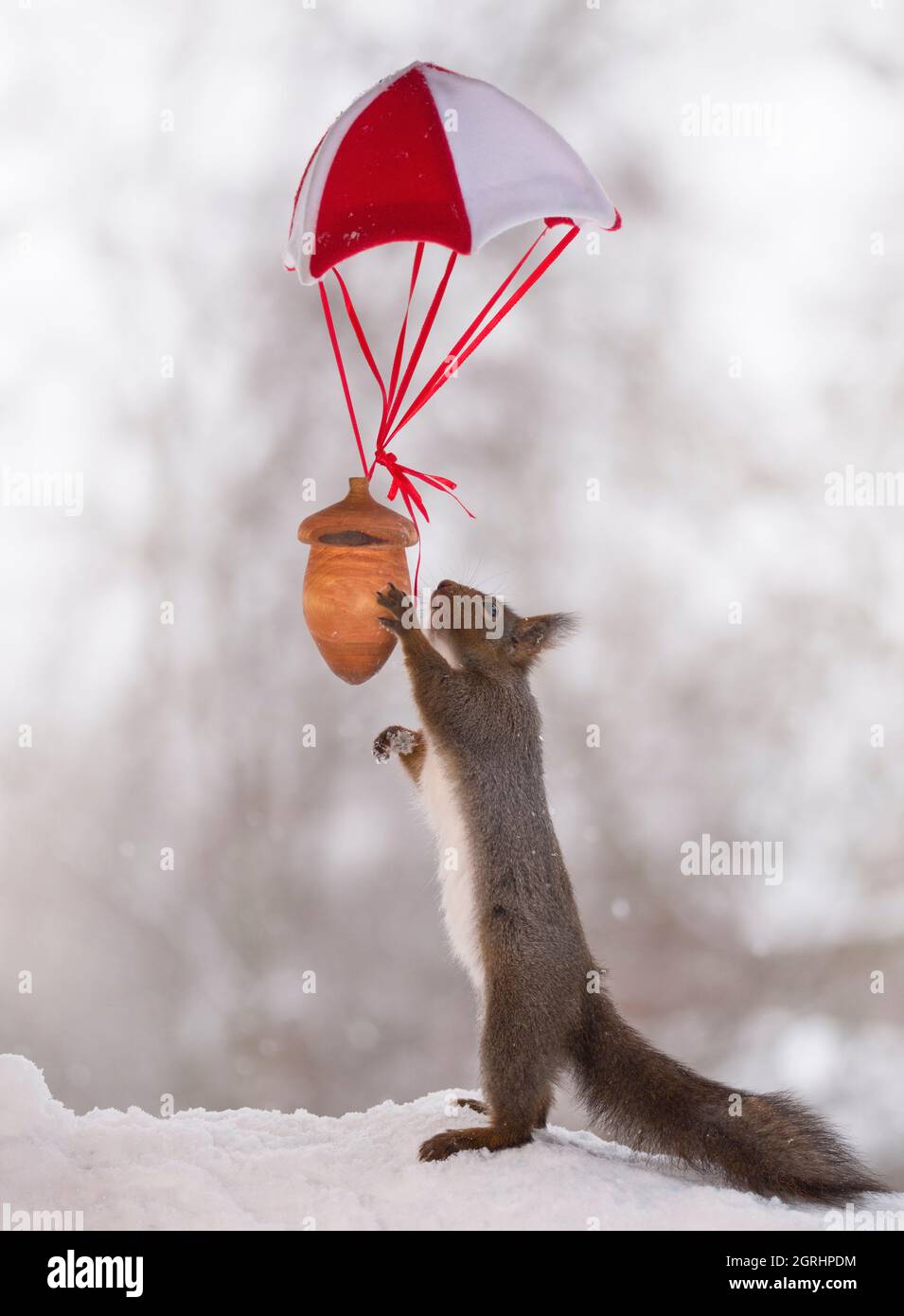 Parachute tail hi-res stock photography and images - Alamy