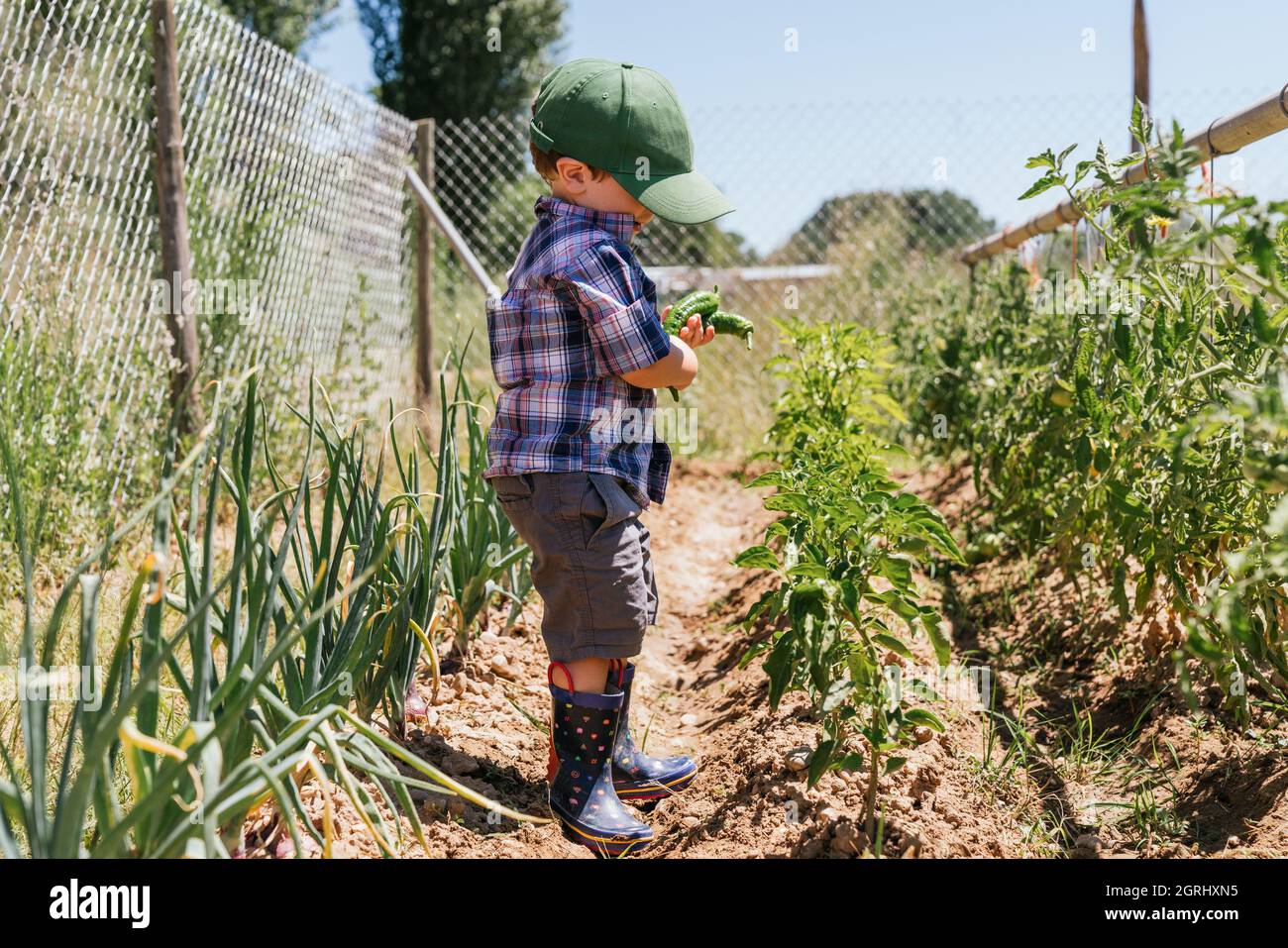 Closeup of the little boy working in the garden Stock Photo - Alamy