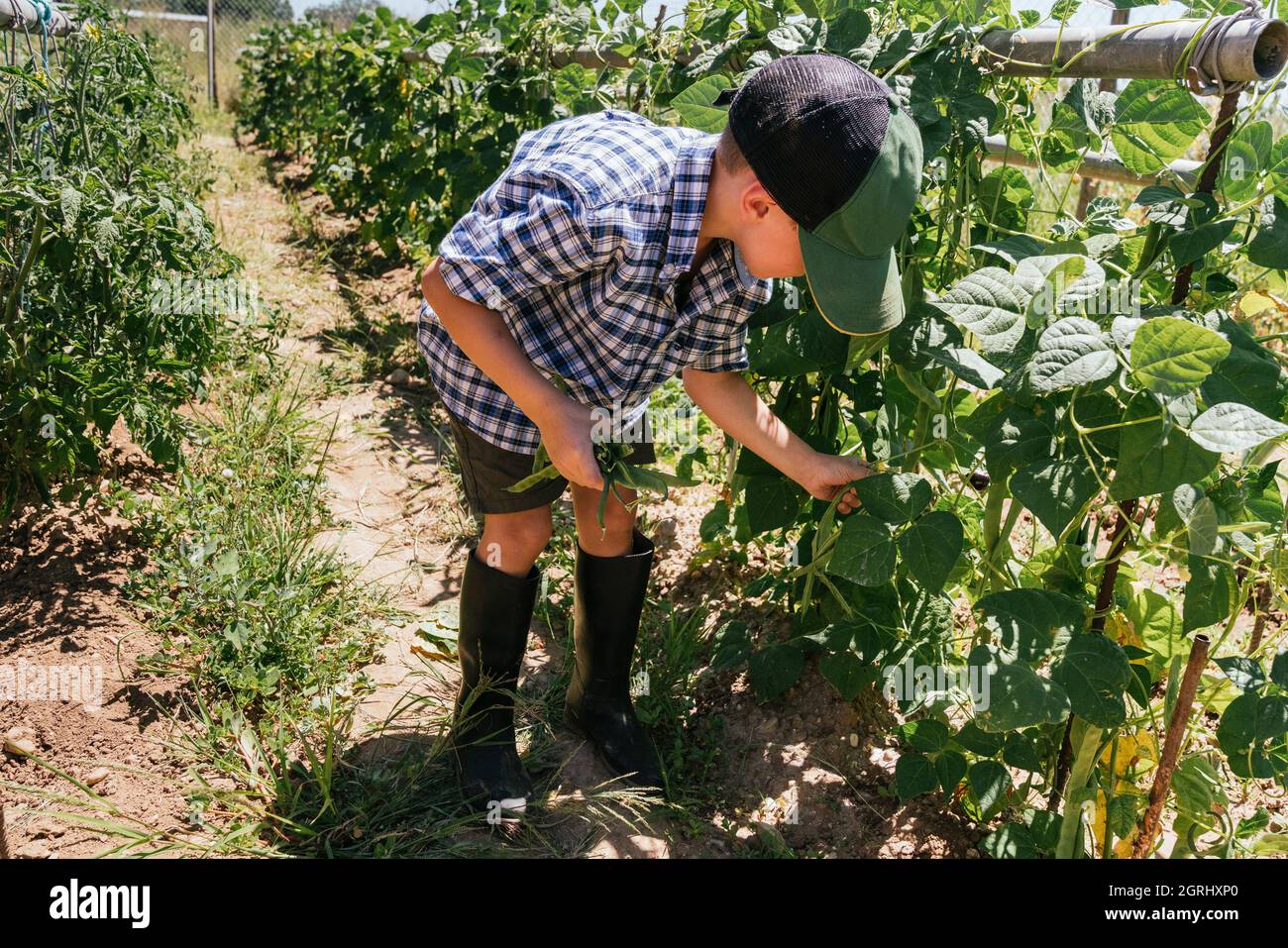Closeup of the little boy working in the garden Stock Photo - Alamy