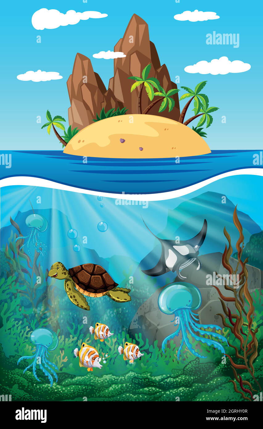Underwater scene fish swimming illustration hi-res stock photography ...