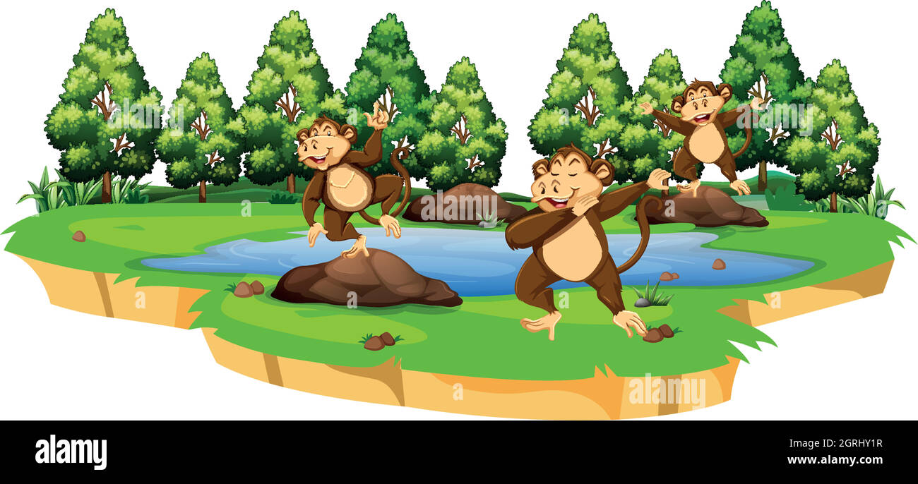 Monkey and water Stock Vector Images - Alamy