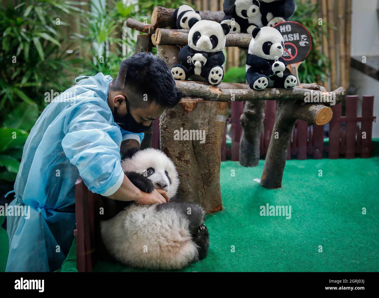 Zoo worker hi-res stock photography and images - Alamy