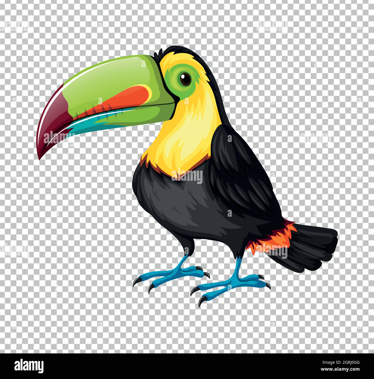 Toucan bird on transparent background Stock Vector Image & Art - Alamy