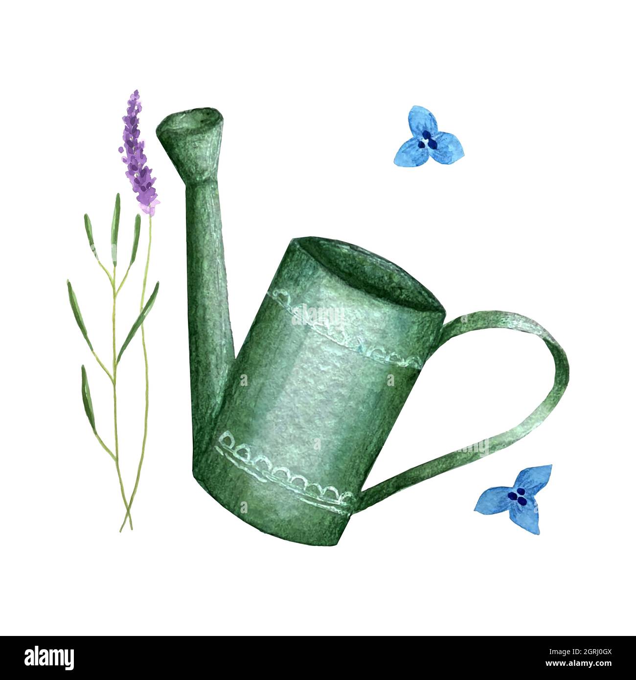Garden watering can and sprigs of lavender watercolor hand drawing ...