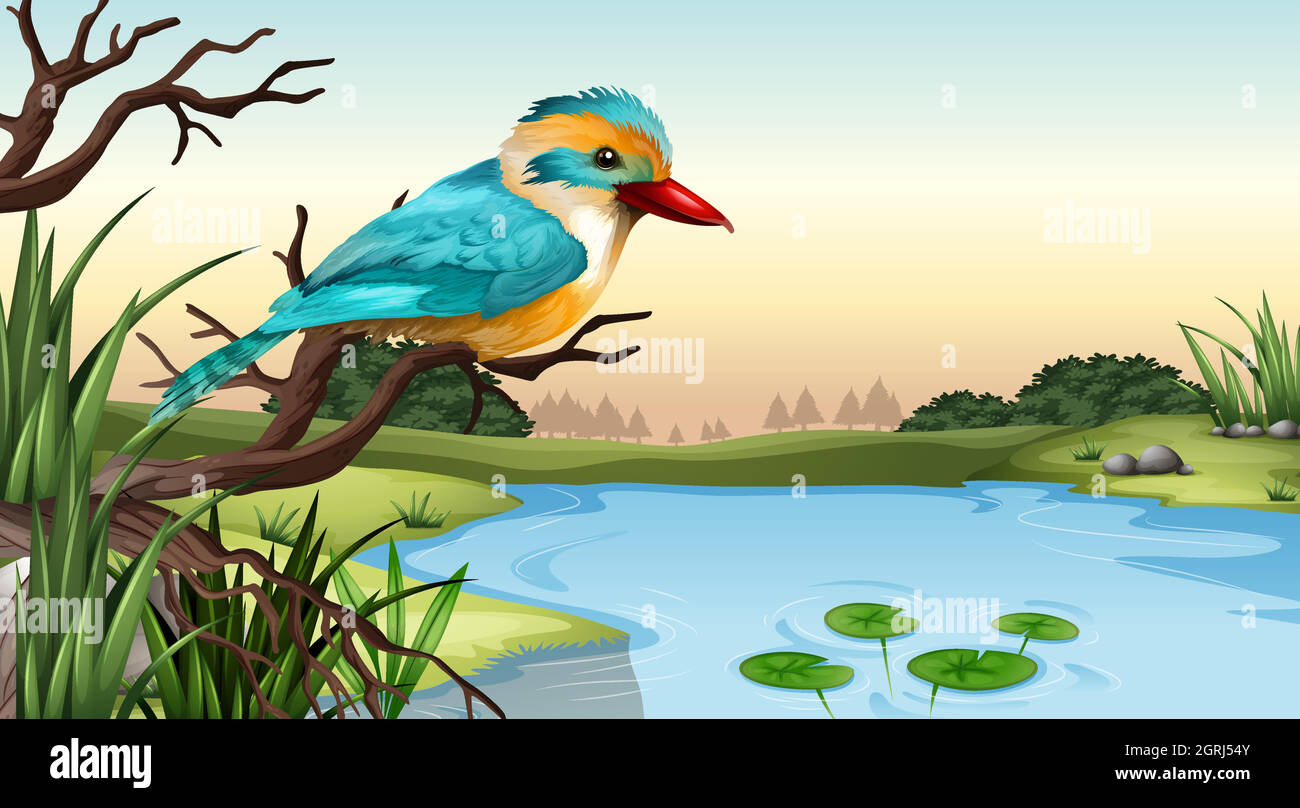 Pointed water Stock Vector Images - Alamy