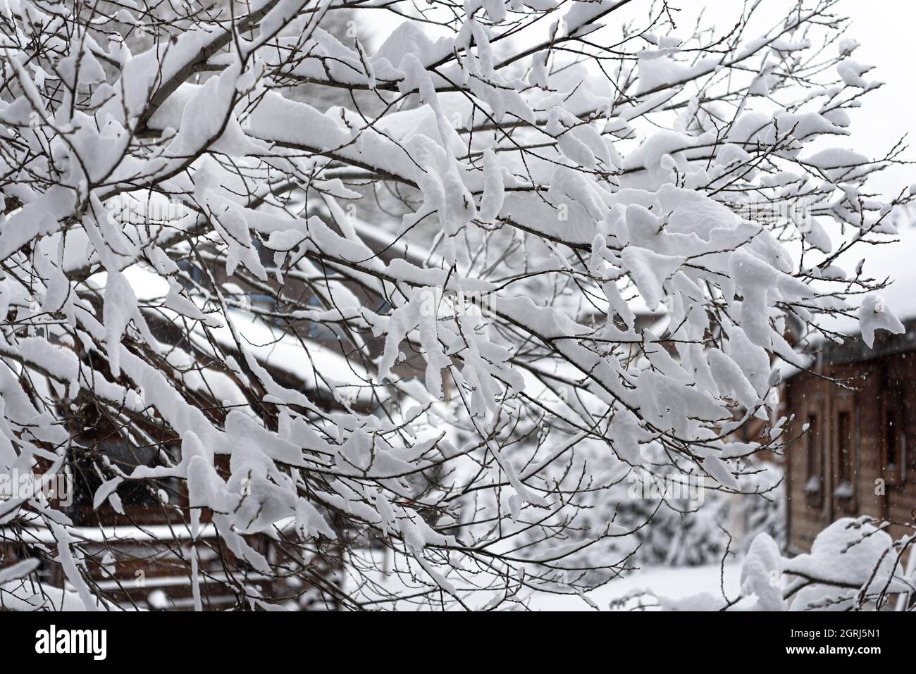 Lighting up snow hi-res stock photography and images - Alamy