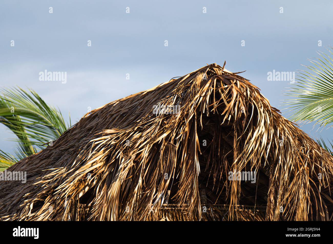 Roof of a straw hut on a beach Stock Photo - Alamy