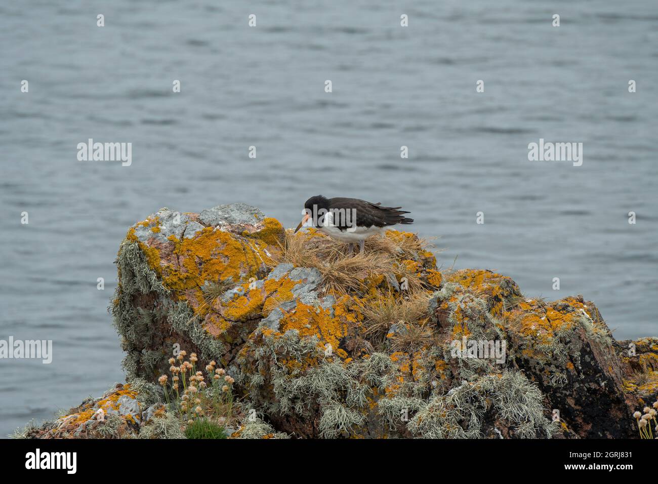 Muckle water hi-res stock photography and images - Alamy