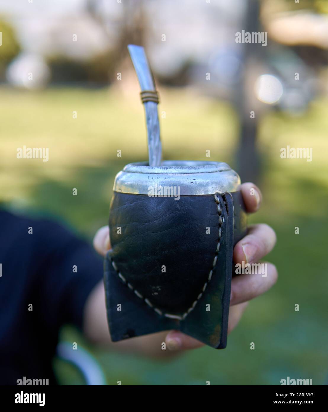 Male Hand Holding Calabash With Bombilla with yerba mate, on nature ...