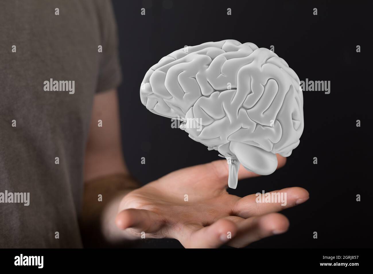 Cerebro sistema nervioso hi-res stock photography and images - Alamy