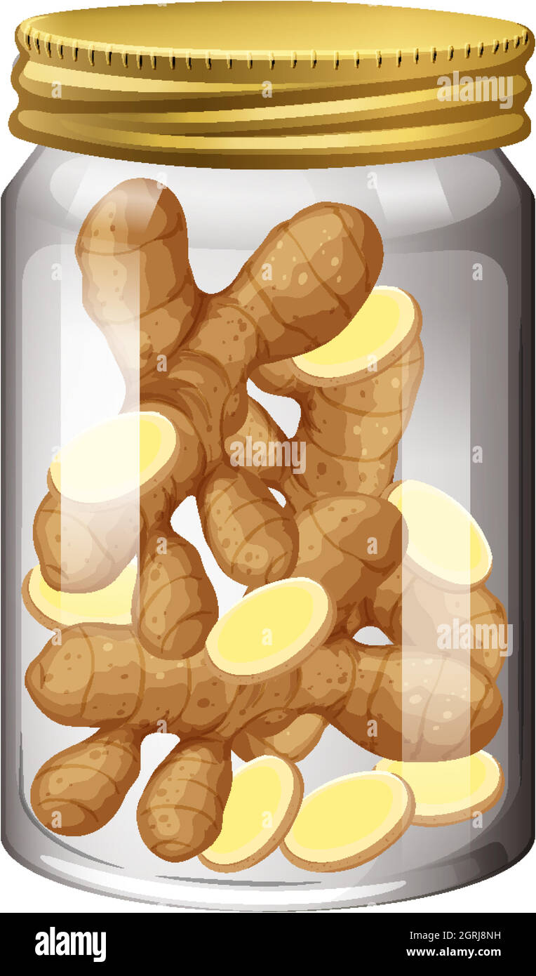 Ginger Stock Vector Images - Alamy