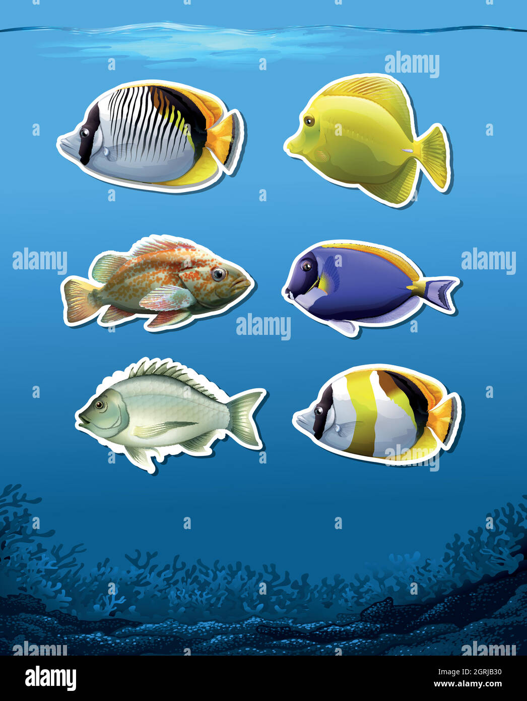 Set of underwater fish Stock Vector Image & Art - Alamy