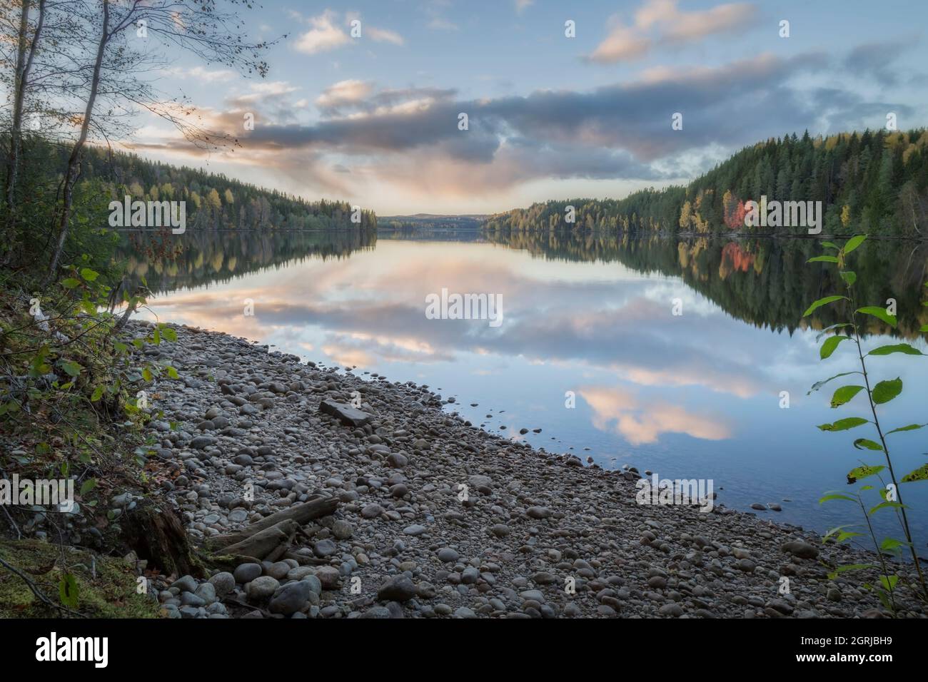 reflections in river with clouds and a forest Stock Photo - Alamy