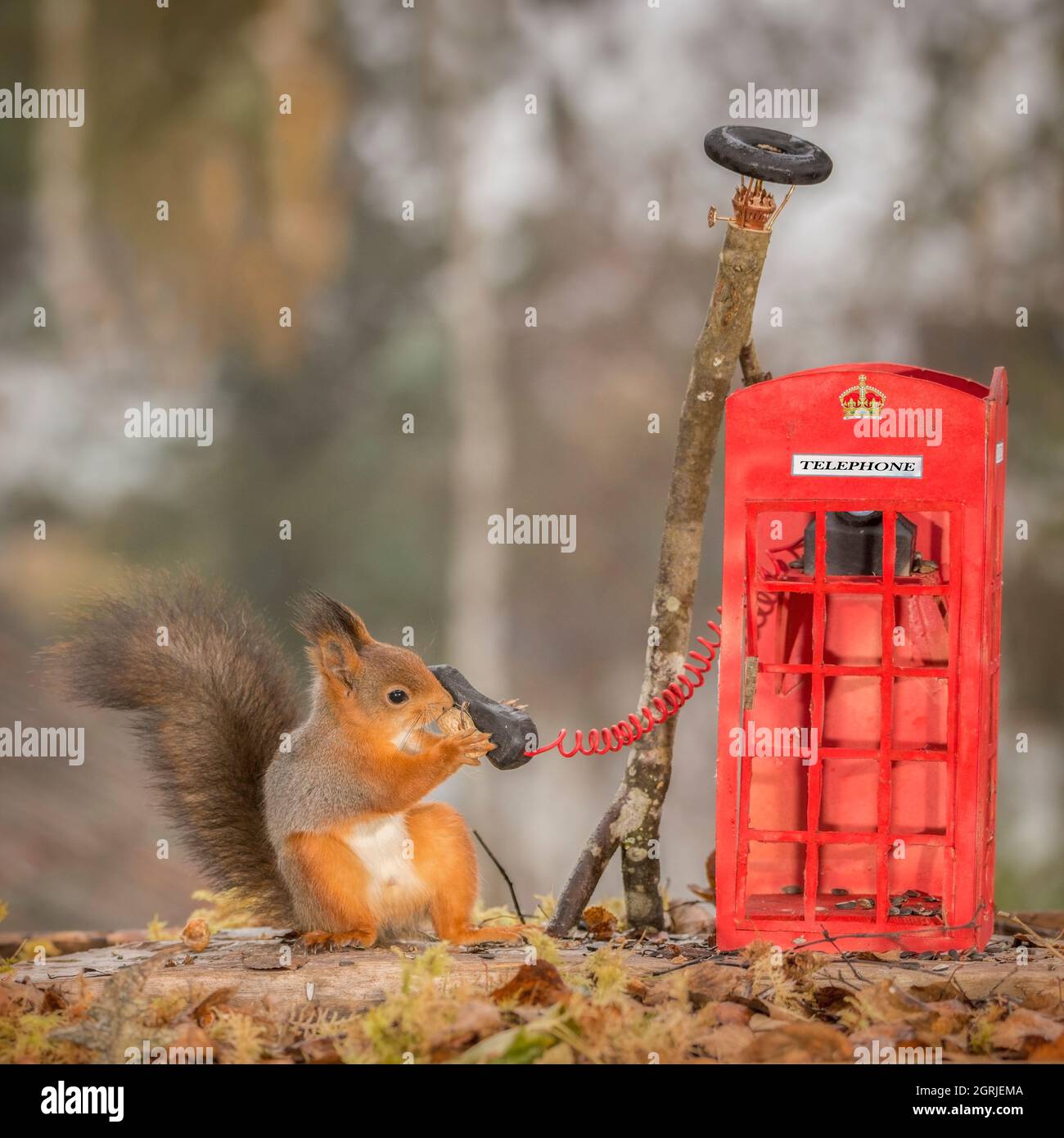 Standing telephone hi-res stock photography and images - Alamy