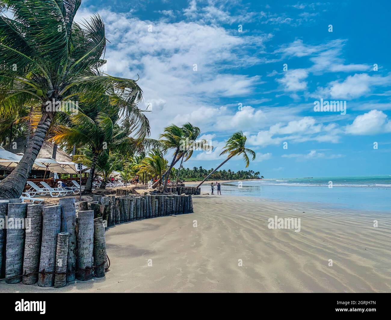Beautiful view of an ocean with palm trees on the beach Stock Photo - Alamy