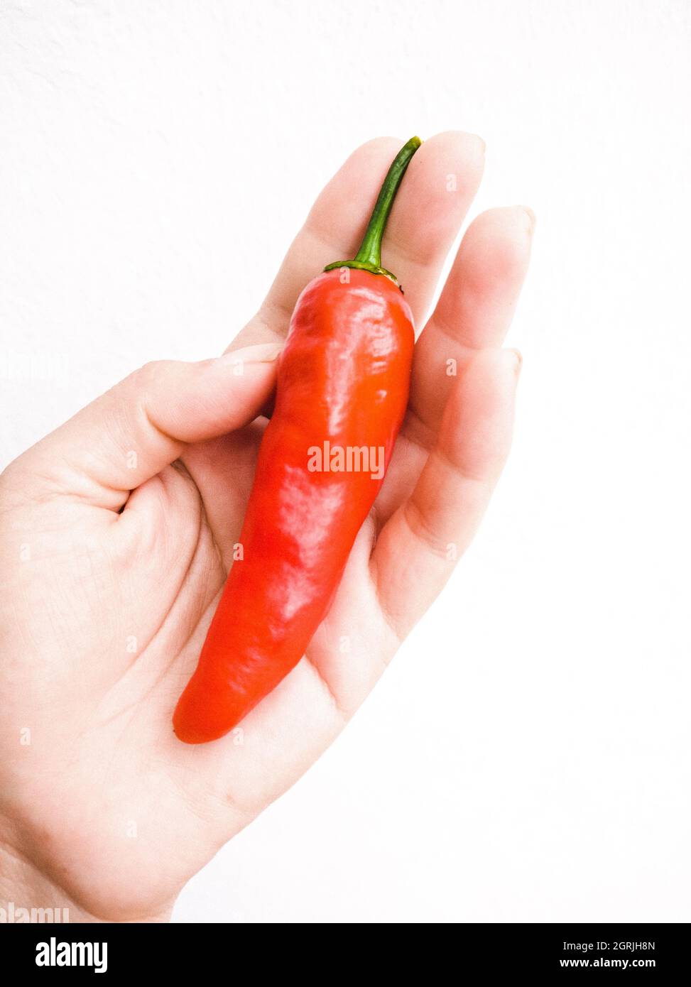 Red chili pepper held by a female isolated on a white background Stock ...