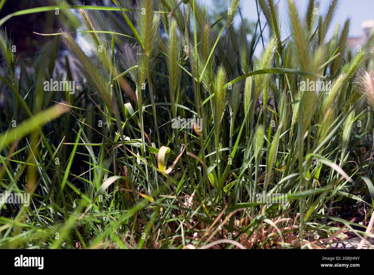 Dry process plants hi-res stock photography and images - Alamy