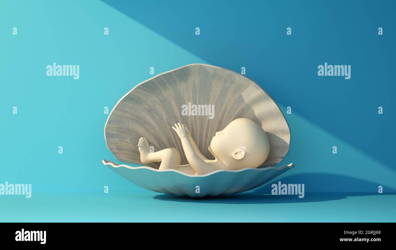 baby inside an open seashell. 3d rendering Stock Photo - Alamy