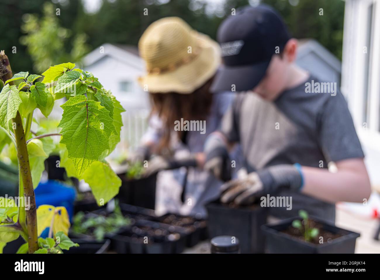 Group children planting tree hi-res stock photography and images - Alamy