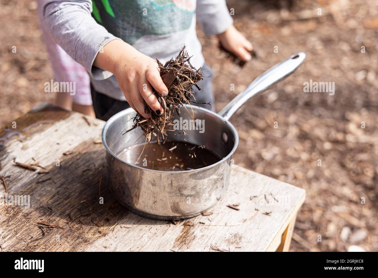 : A zoomed in portrait of child's hands, putting dry leaves and ...