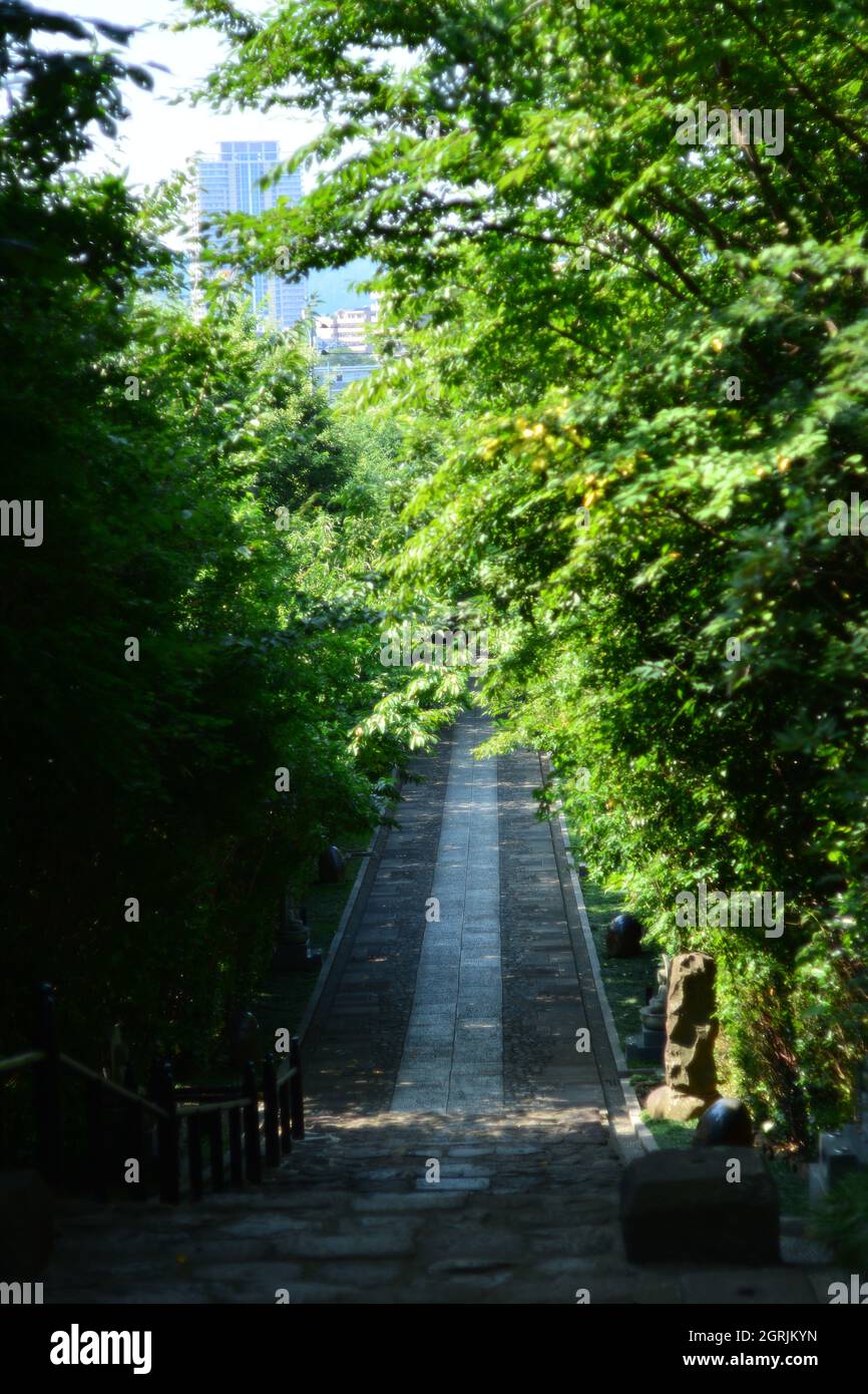 Vertical shot of a trail going up in an urban Japanese zen garden Stock ...