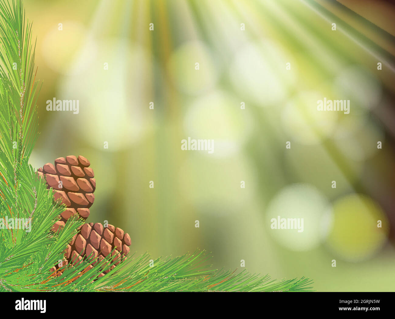 Spruce branch on background winter Stock Vector Images - Alamy