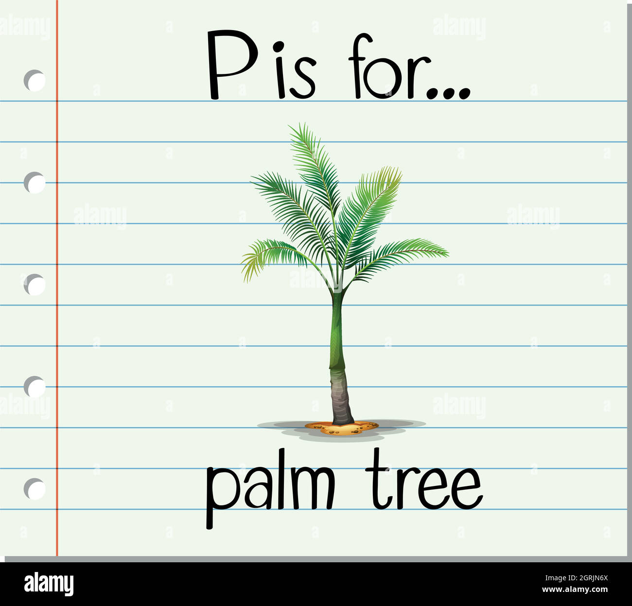 Flashcard letter P is for palm tree Stock Vector Image & Art - Alamy