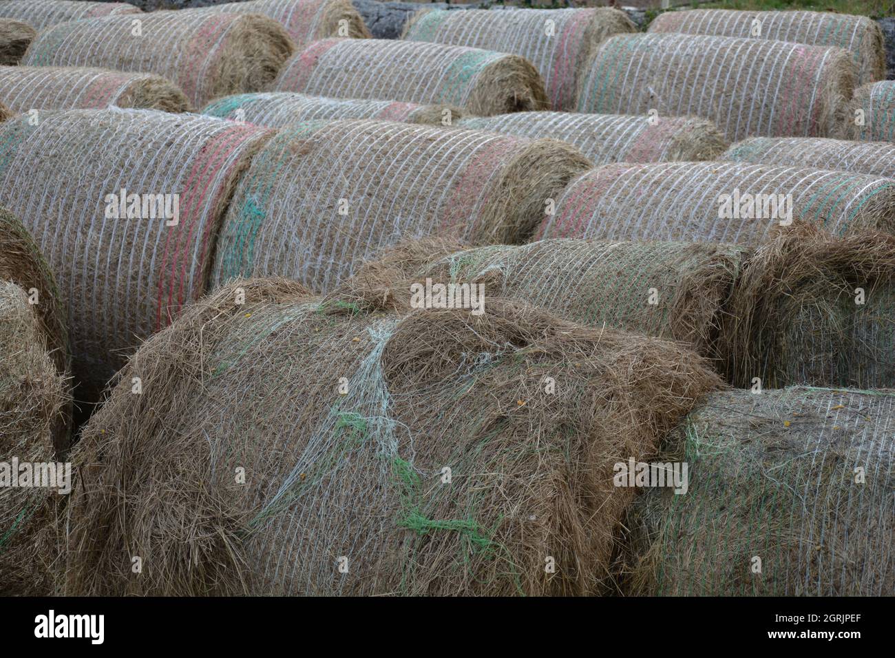 Wool Bale Bales High Resolution Stock Photography and Images - Alamy