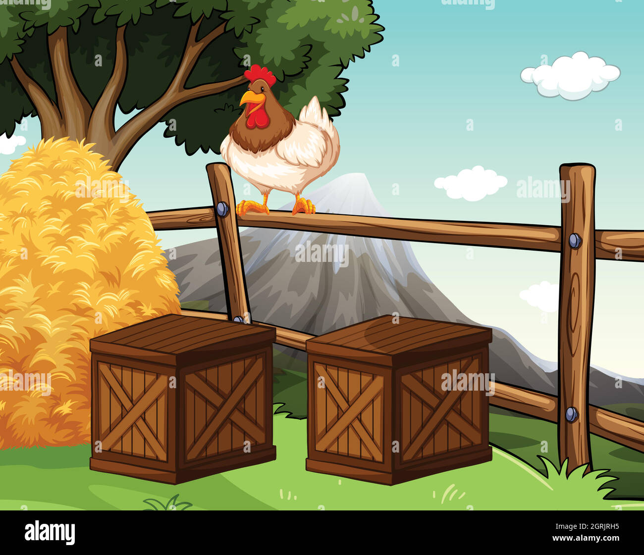Farm chicken cartoon Stock Vector Images - Alamy