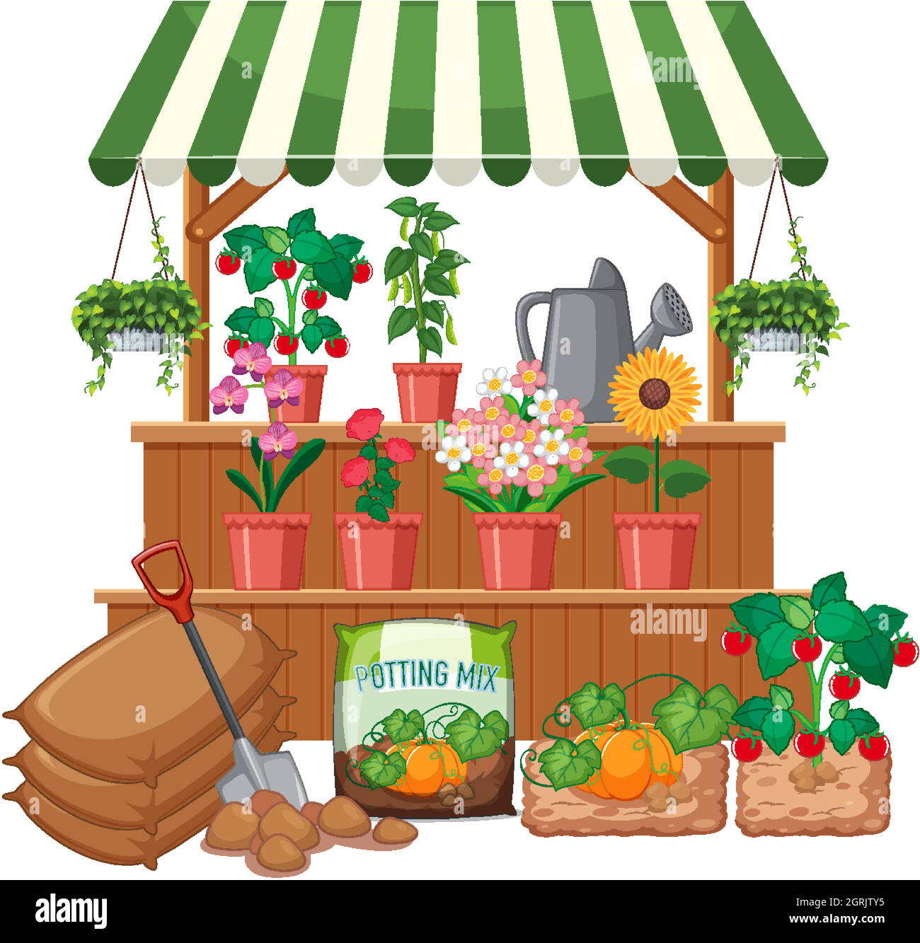 Watering can isolated on Stock Vector Images - Alamy