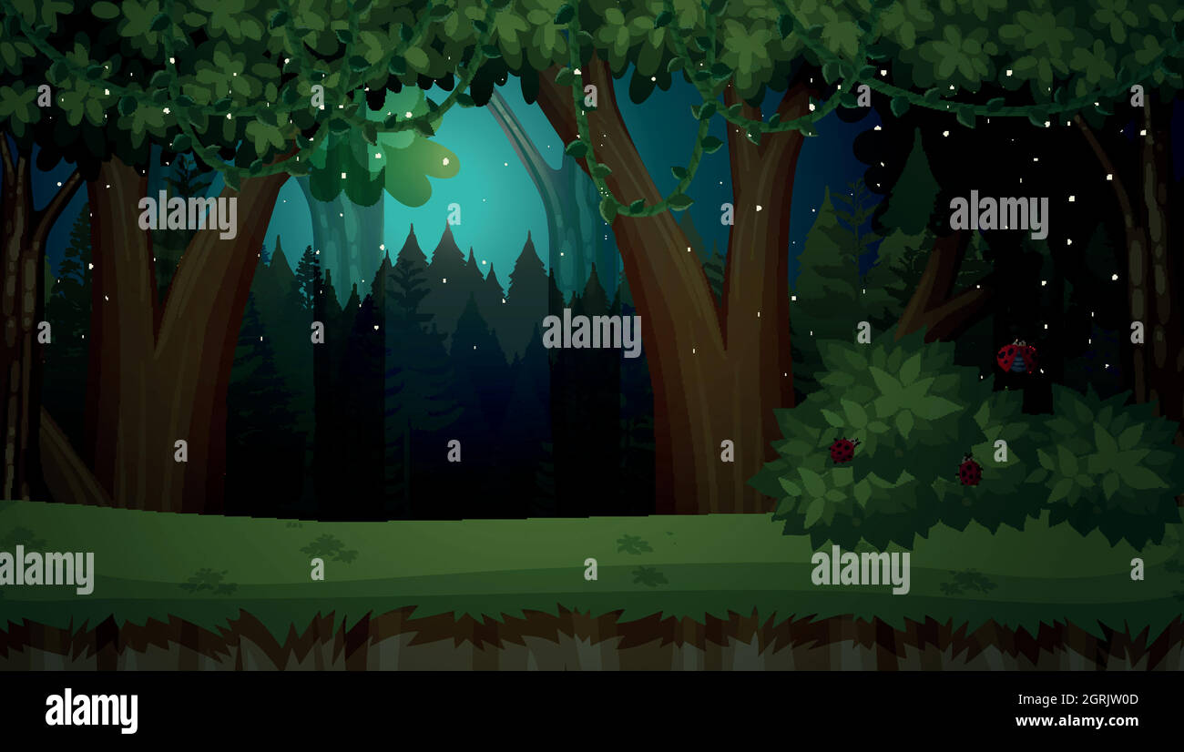 Jungle night landscape hi-res stock photography and images - Alamy