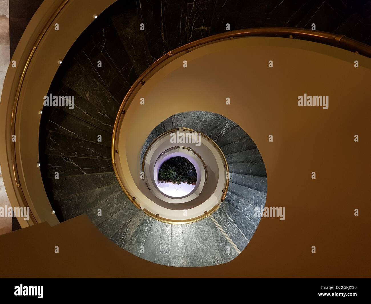 Fibonacci ratio hi-res stock photography and images - Alamy