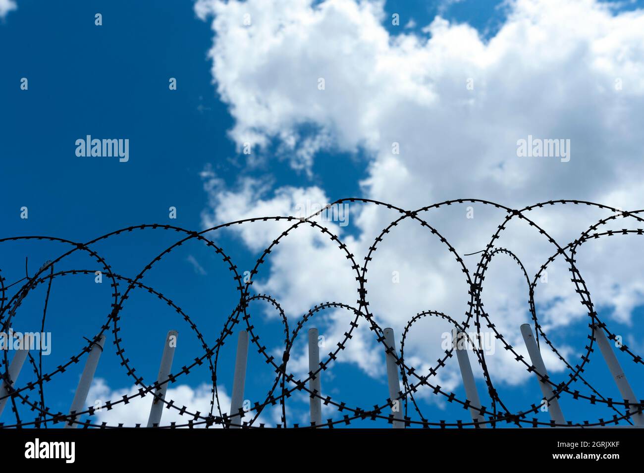 Bar wire hi-res stock photography and images - Alamy