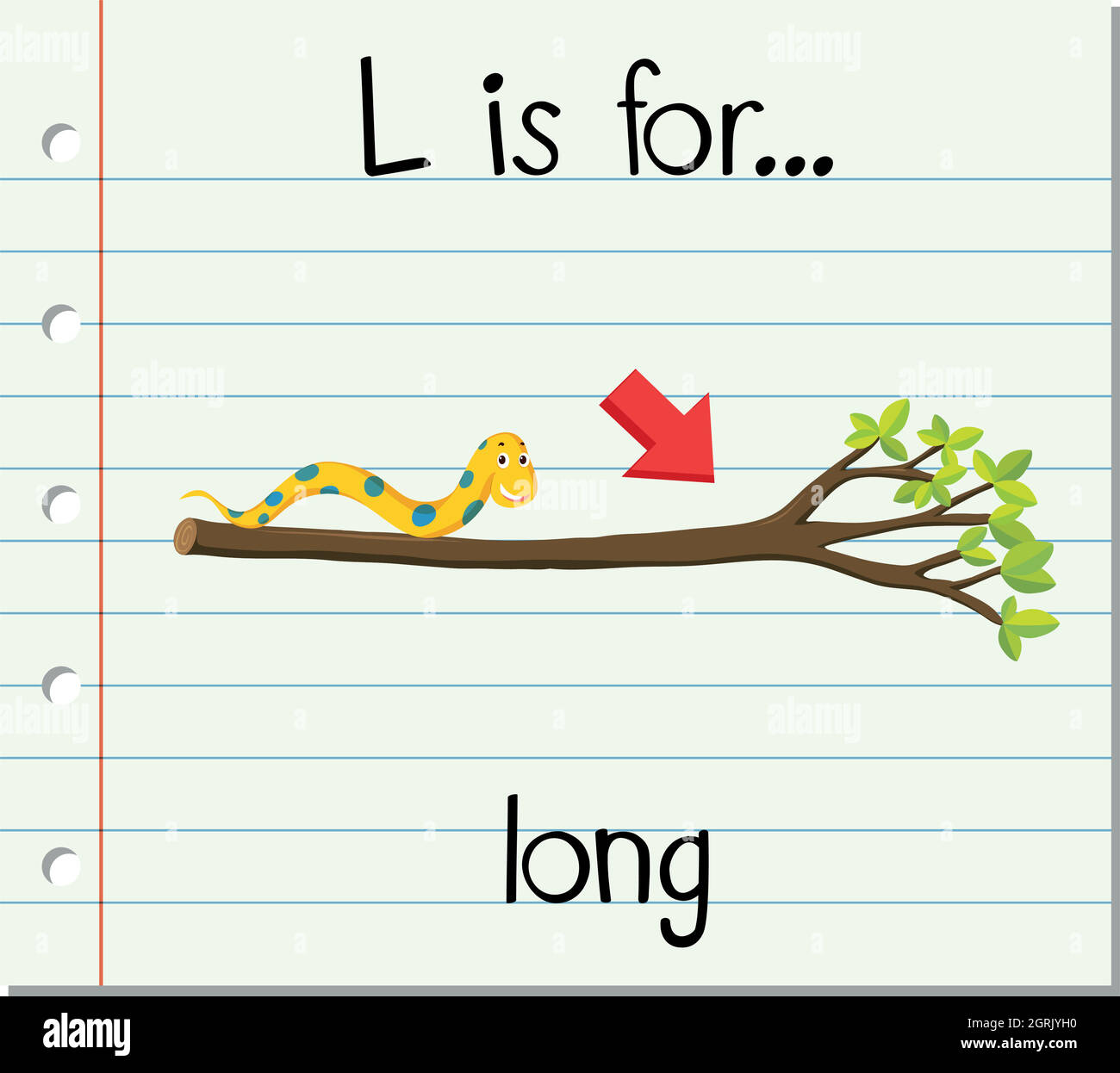 Flashcard letter L is for long Stock Vector Image & Art - Alamy