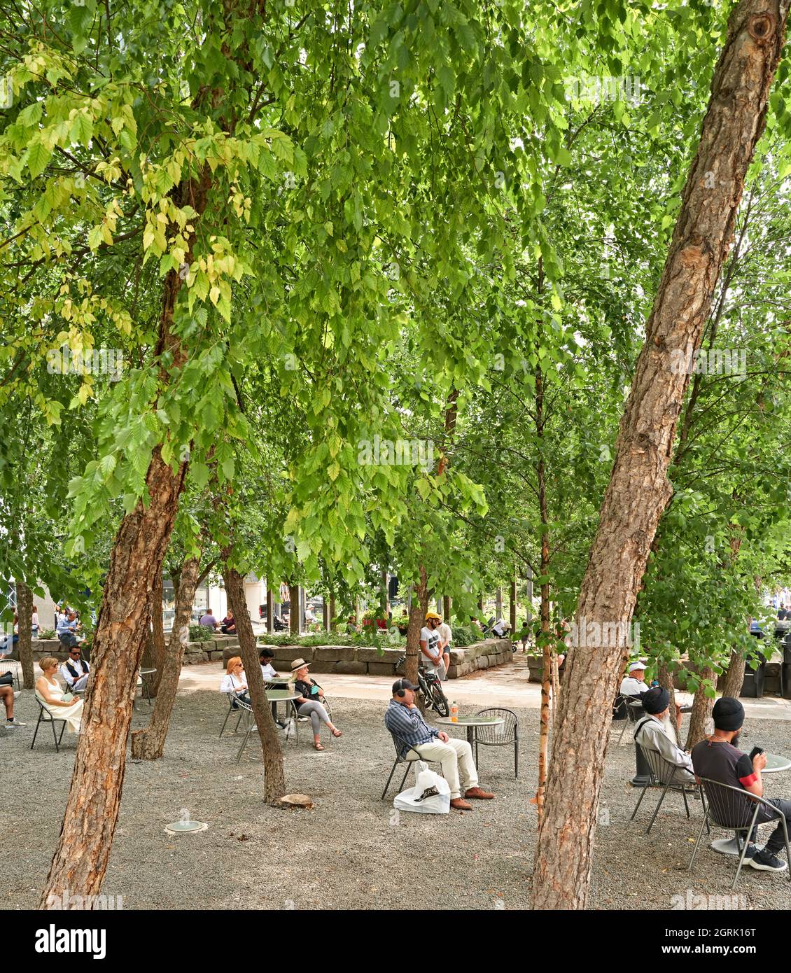 Crowded park sunny day lunch hi-res stock photography and images - Alamy