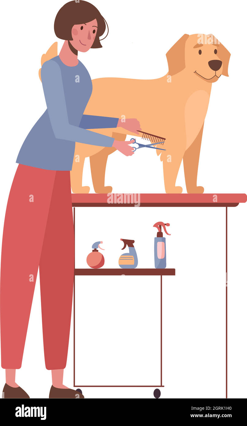 Dog grooming. A woman makes a haircut for golden retriever. Vector ...
