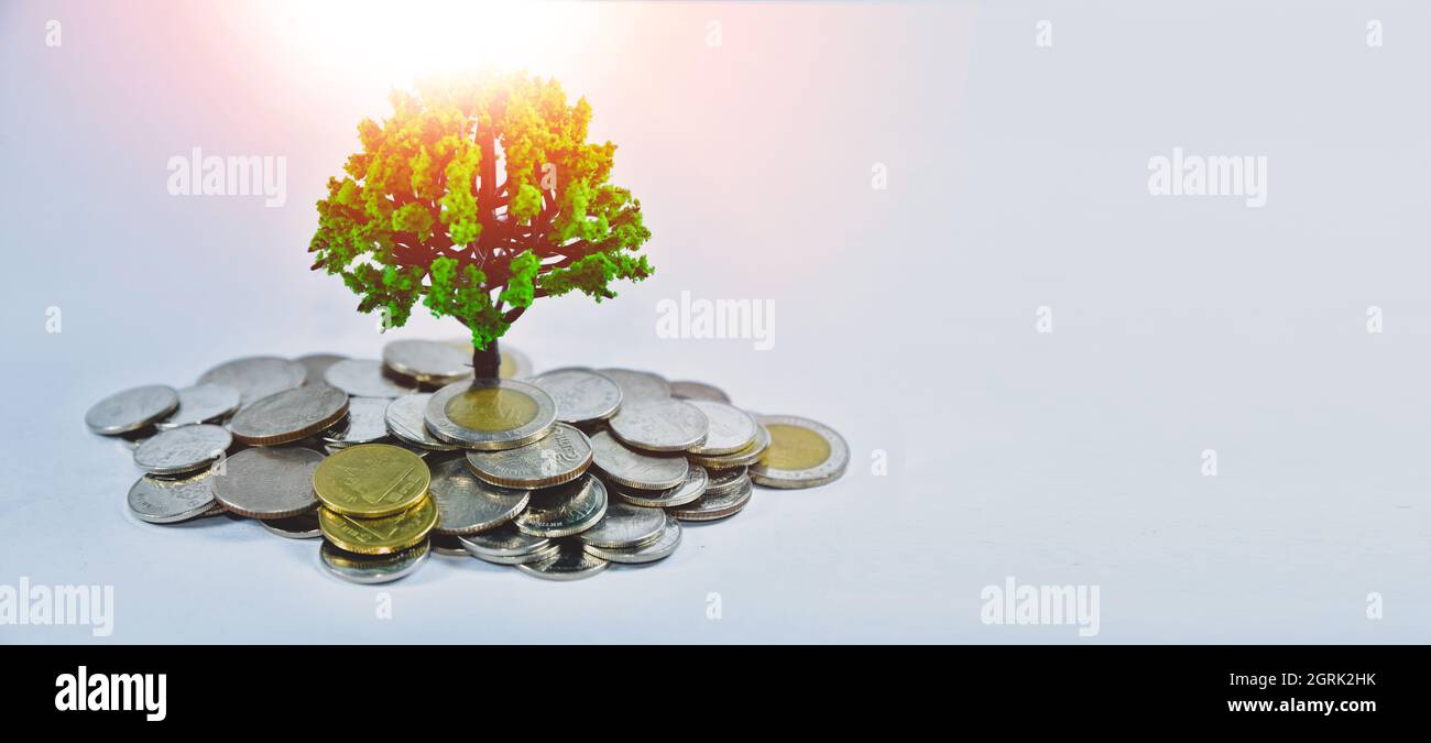 Saving money , Business money investment Stock Photo - Alamy