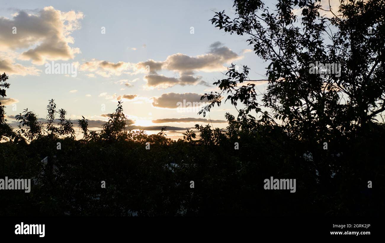 Summer sunset over trees hi-res stock photography and images - Alamy