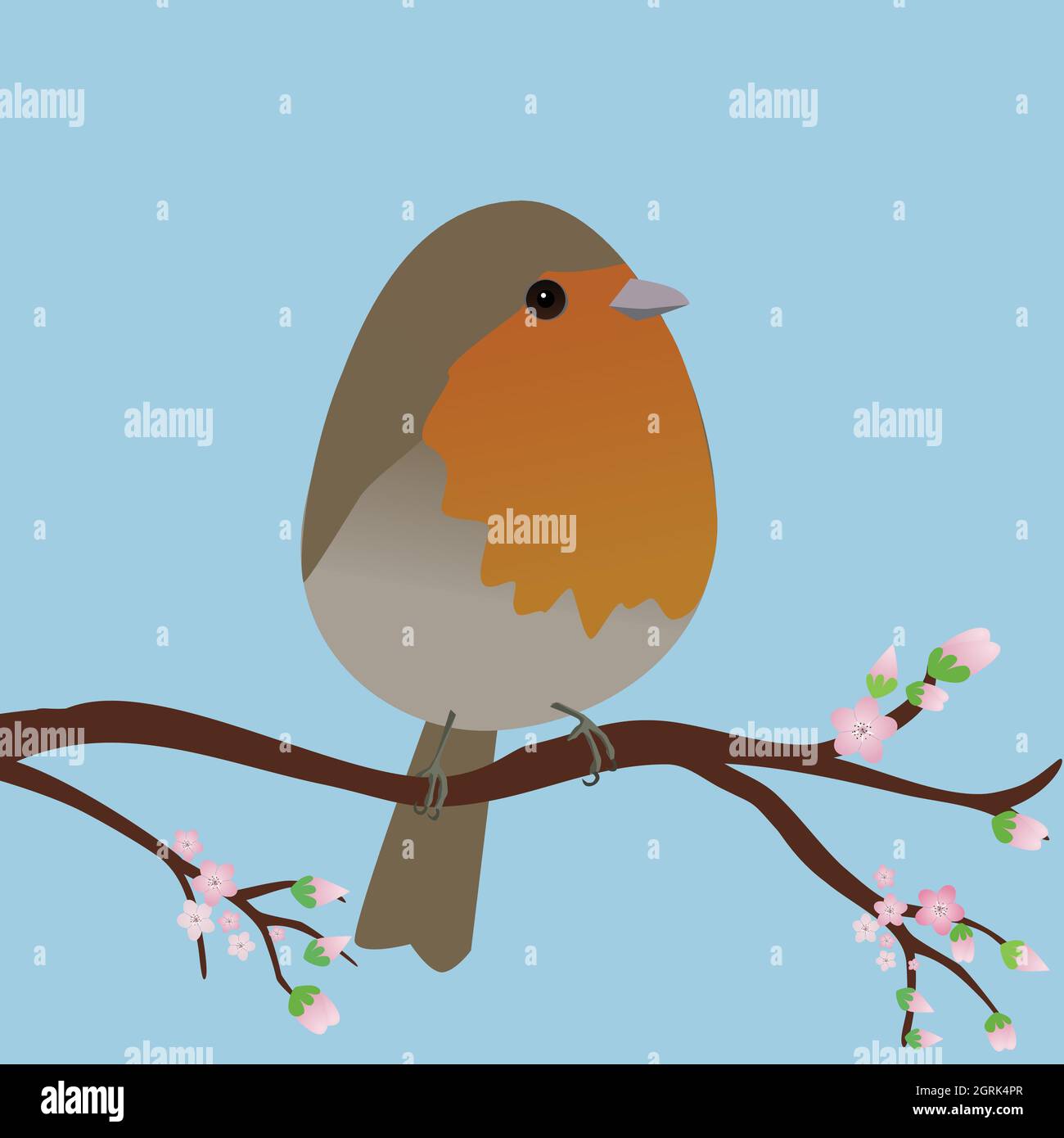 Pink robin bird Stock Vector Images - Alamy