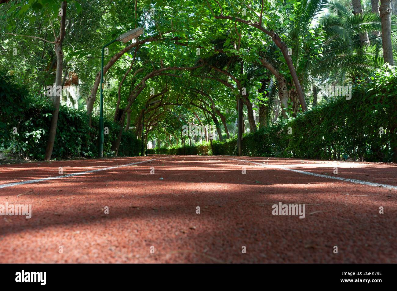 The runway, running track, tartan track Stock Photo - Alamy