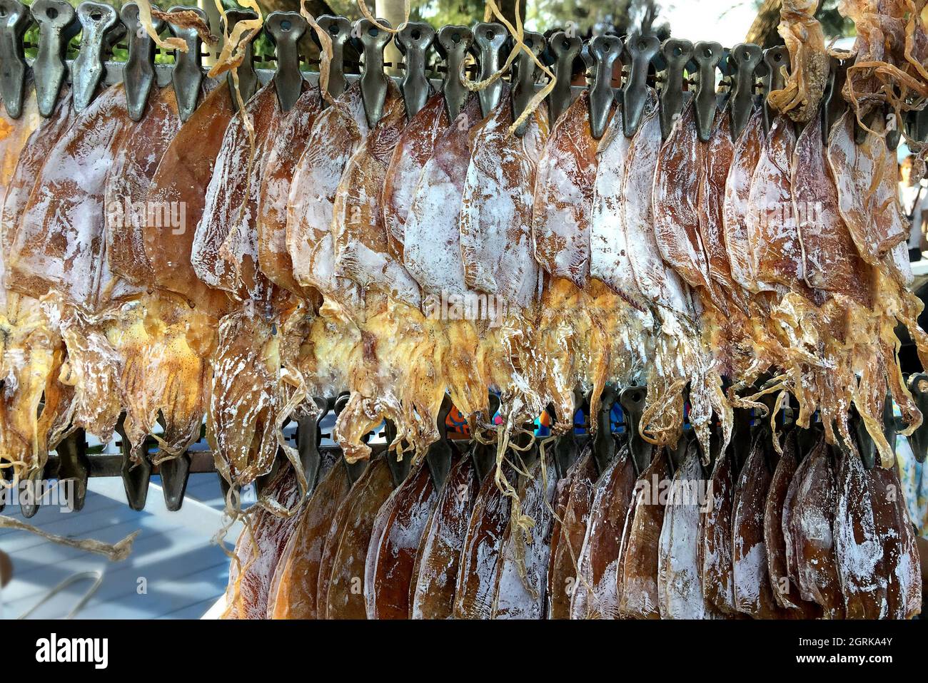Rack focus on animal hi-res stock photography and images - Alamy