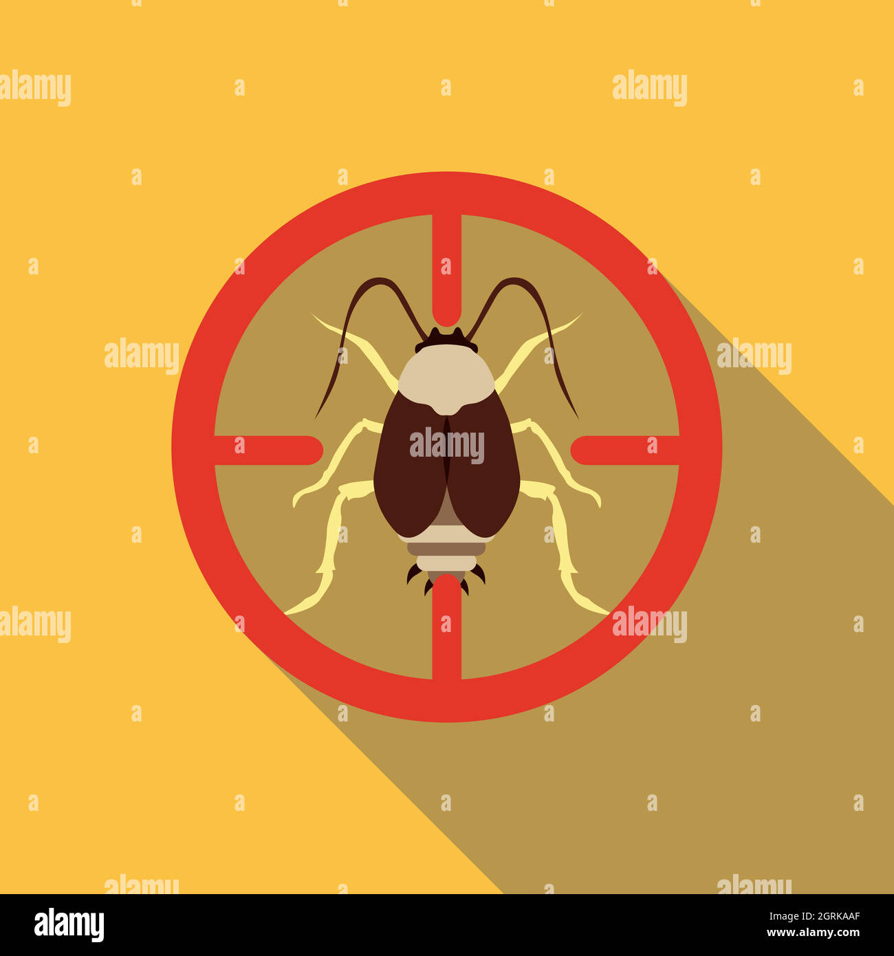 Flat bug hi-res stock photography and images - Alamy