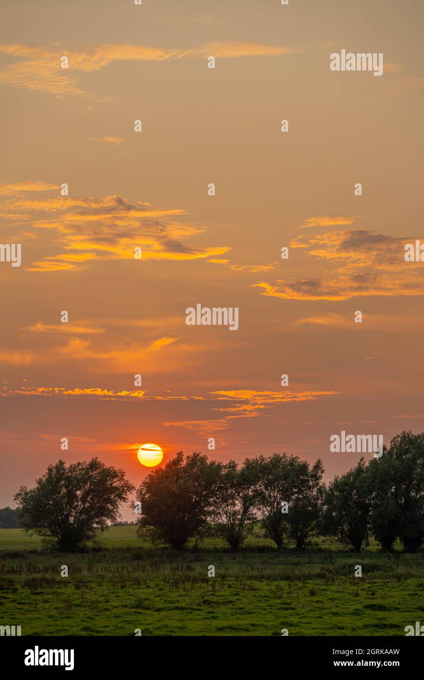 Sunset on the Somerset Levels or moors Stock Photo - Alamy