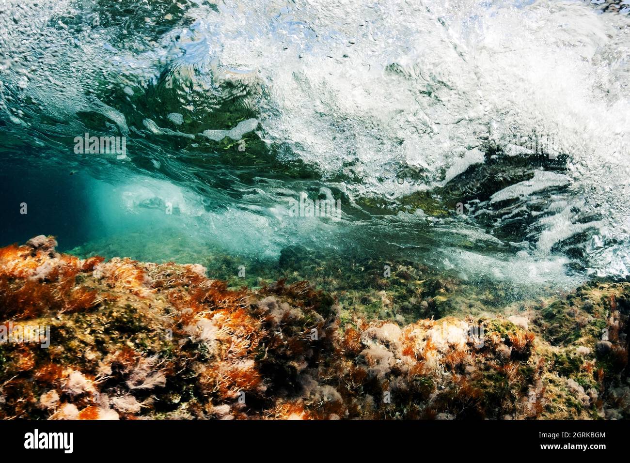 Mediterranean flow hi-res stock photography and images - Alamy