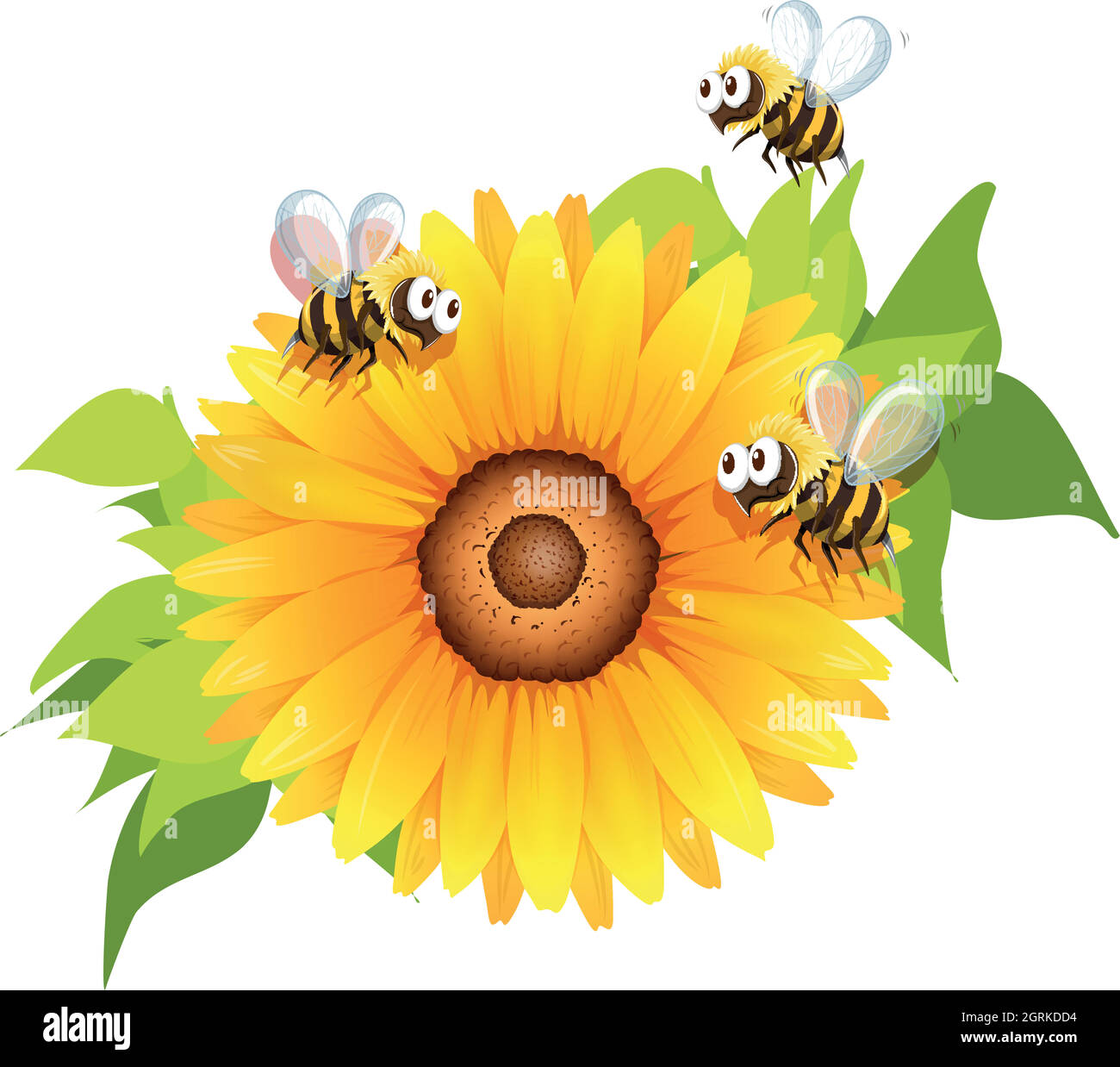 Bees Flying Around Sunflower Stock Vector Image And Art Alamy