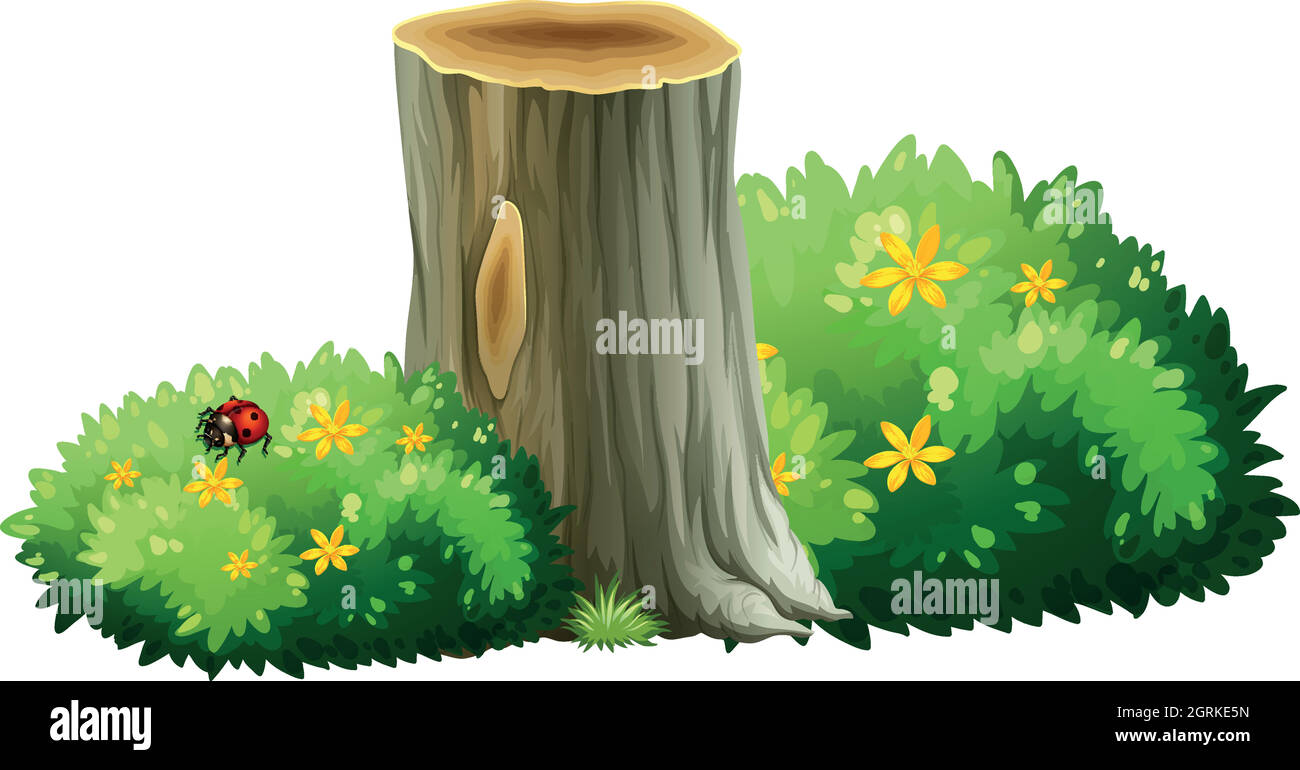 Flowers log wood hi-res stock photography and images - Alamy