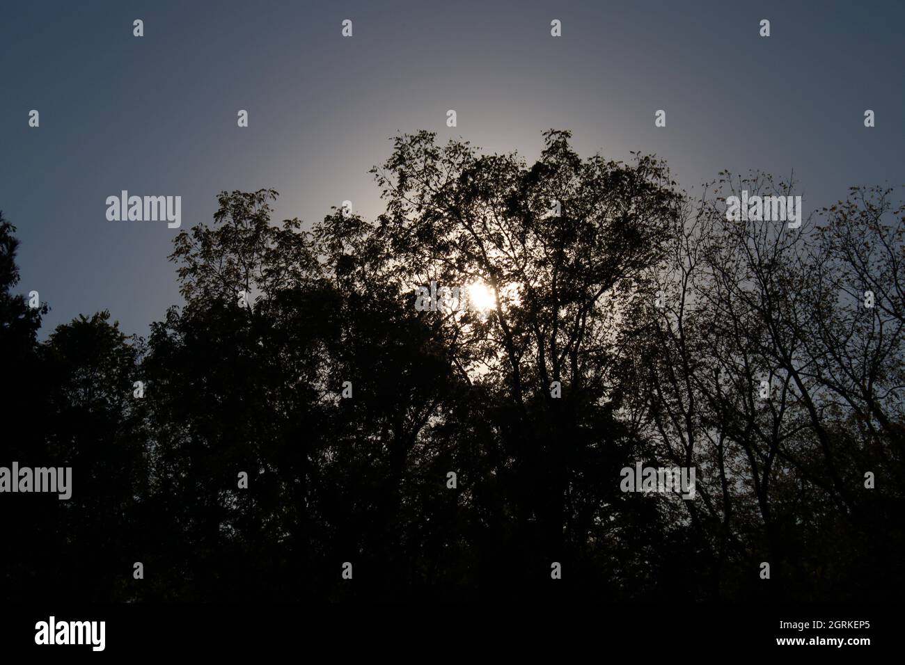 The sun hiding behind some trees Stock Photo - Alamy