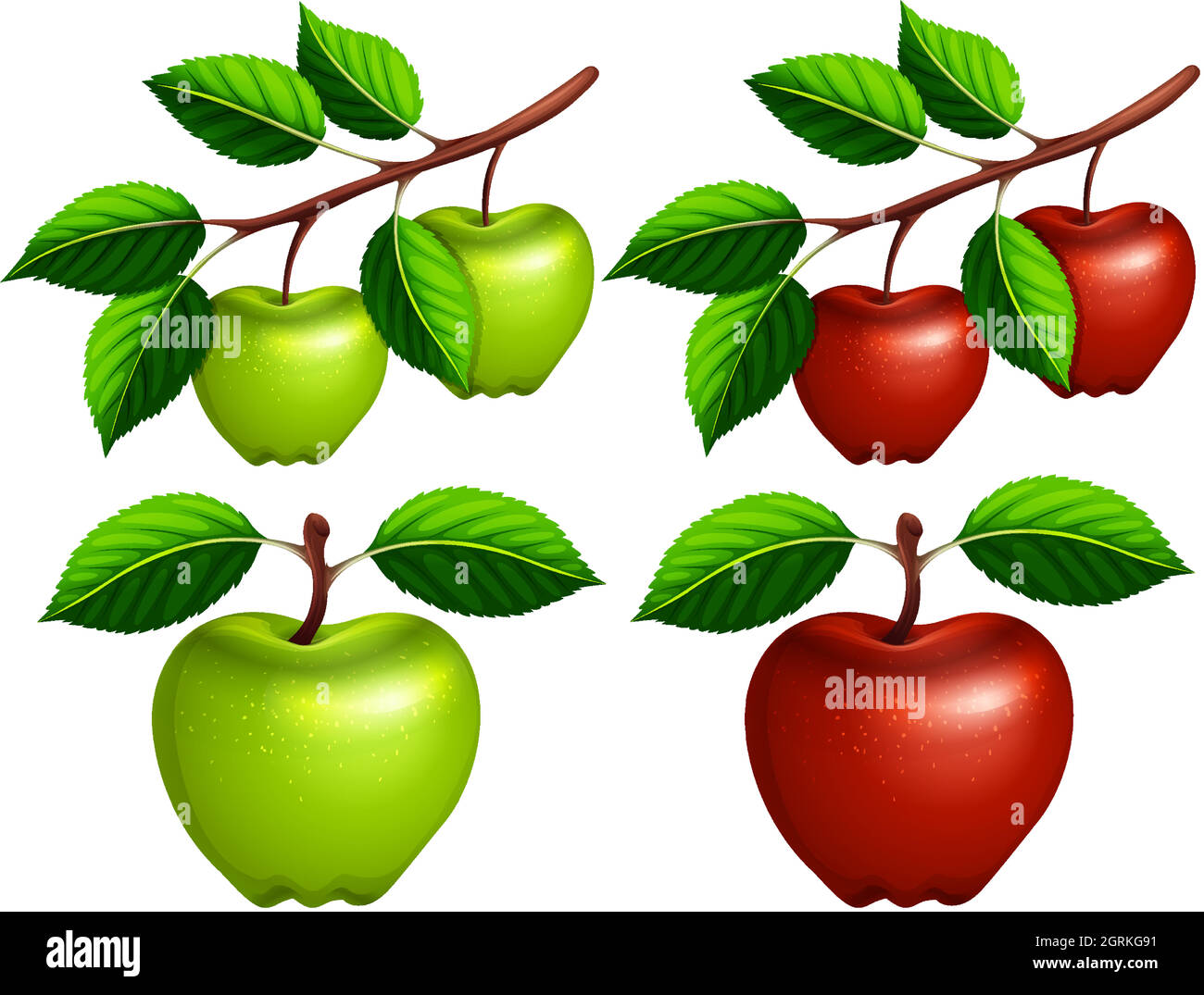 Set of apple with leaves Stock Vector Image & Art - Alamy
