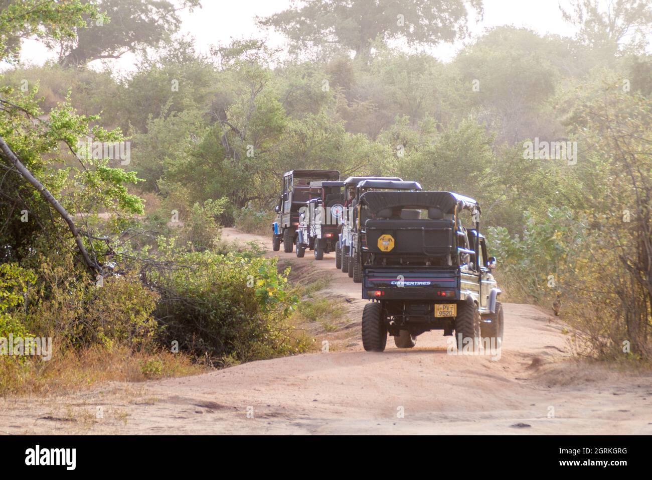 UDA WALAWE, SRI LANKA - JULY 14, 2016: Tourists in safari jeeps in Uda ...
