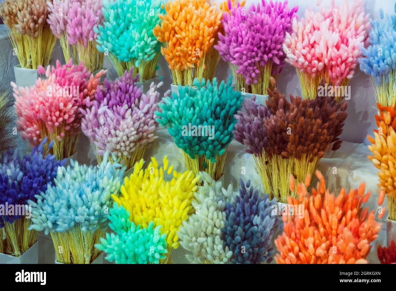 Beautiful background with colorful decorative dried flowers. Fluffy ...